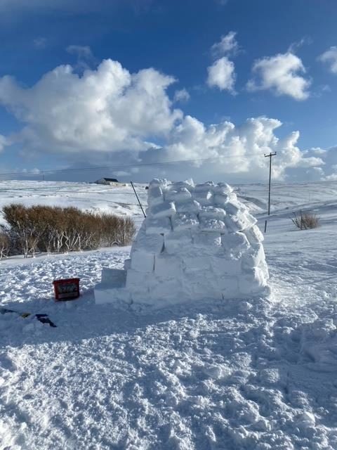 Incredible Igloo!