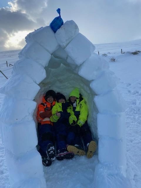 Incredible Igloo!