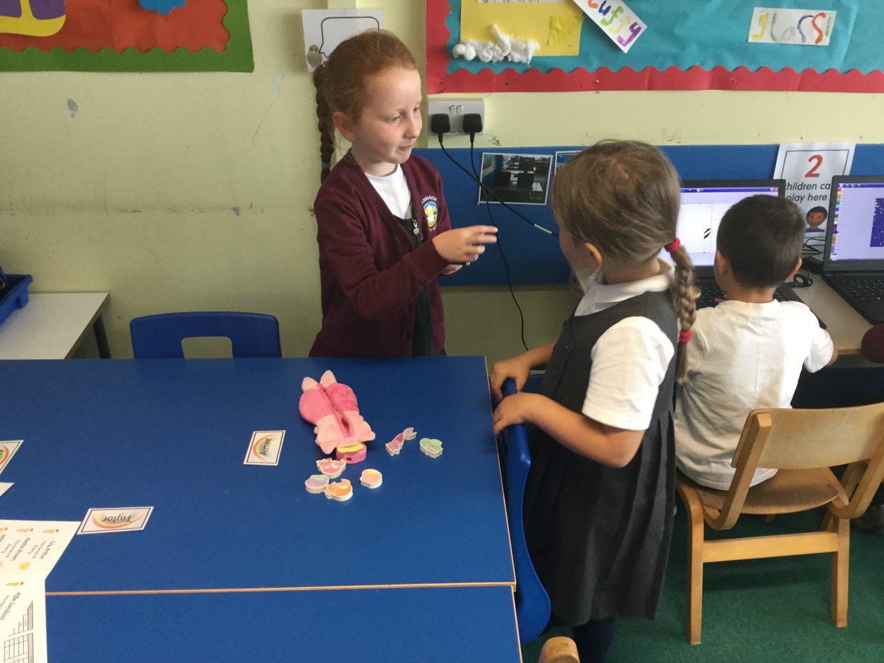 Welcome to Primary 1/2