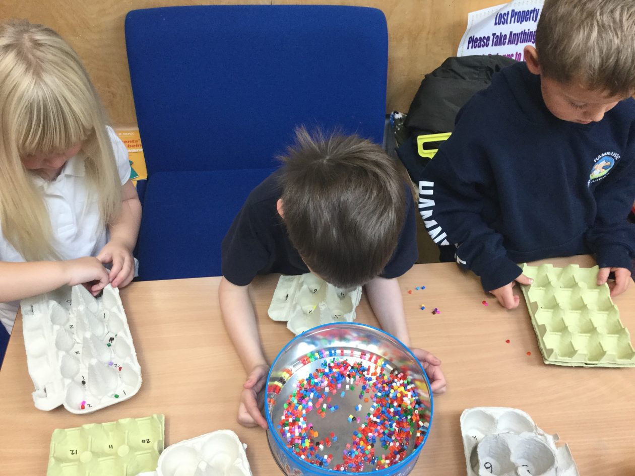 Primary 1 Number Work