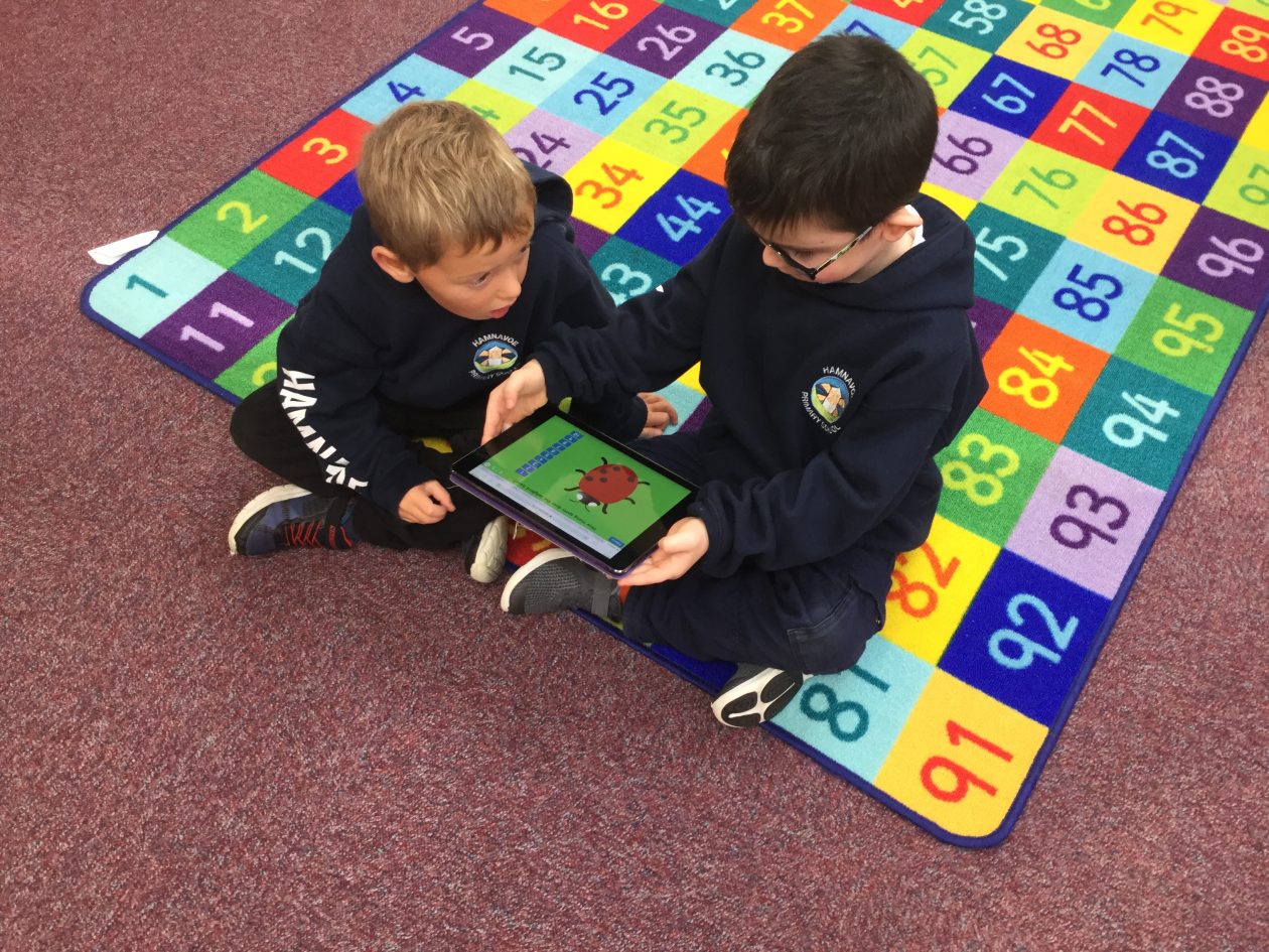 Primary 1 Number Work