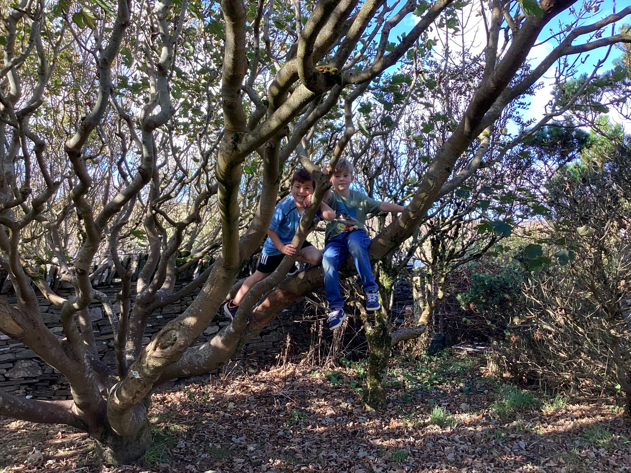 Welly Wednesday – P2/3 SANDWICK JUNIOR HIGH SCHOOL