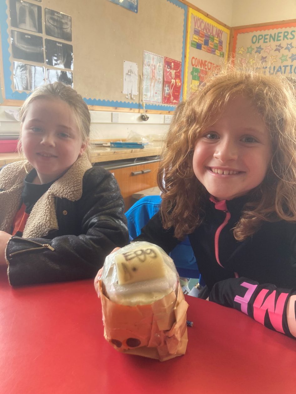 Egg Helmets – Whiteness Primary 3/4