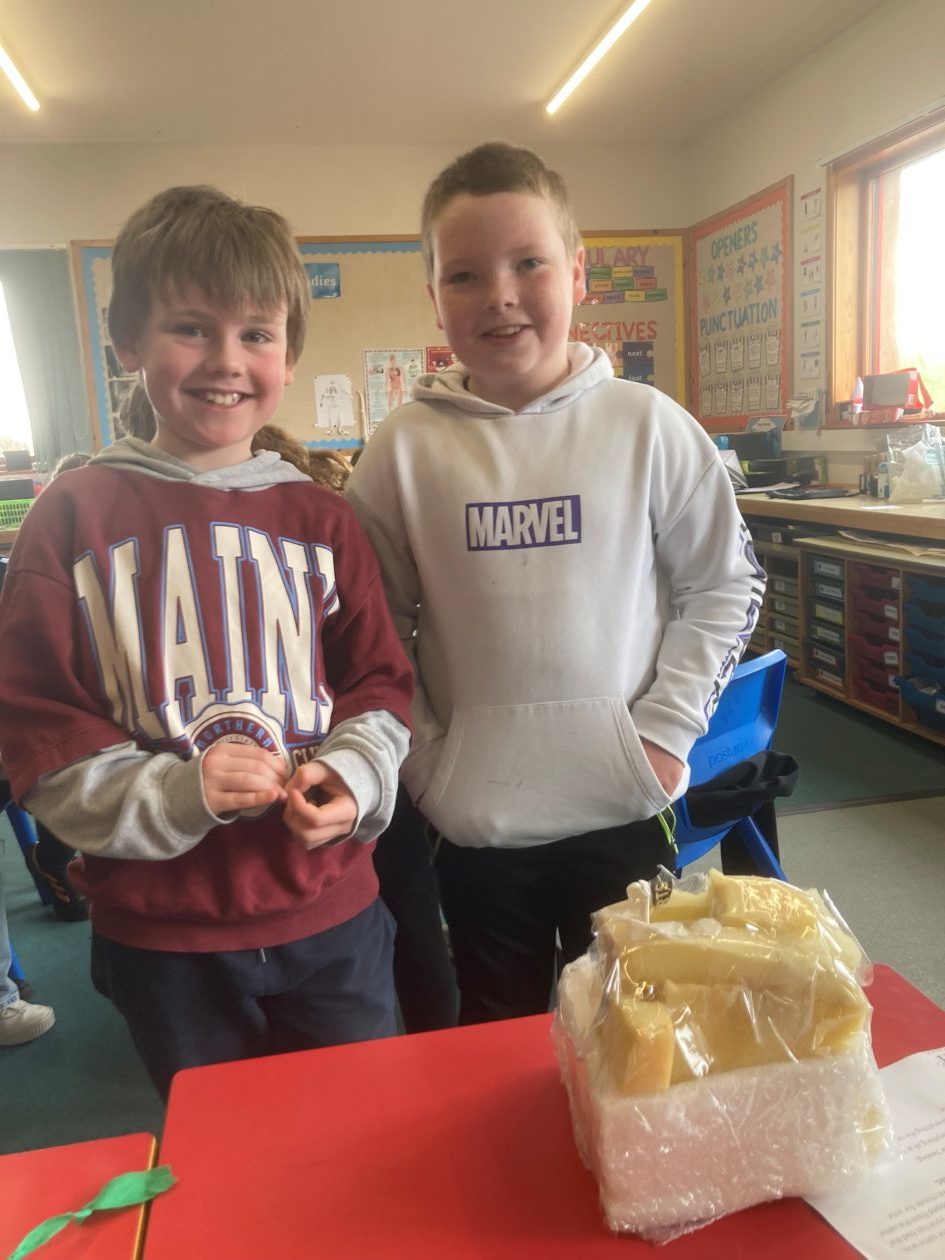 Egg Helmets – Whiteness Primary 3/4