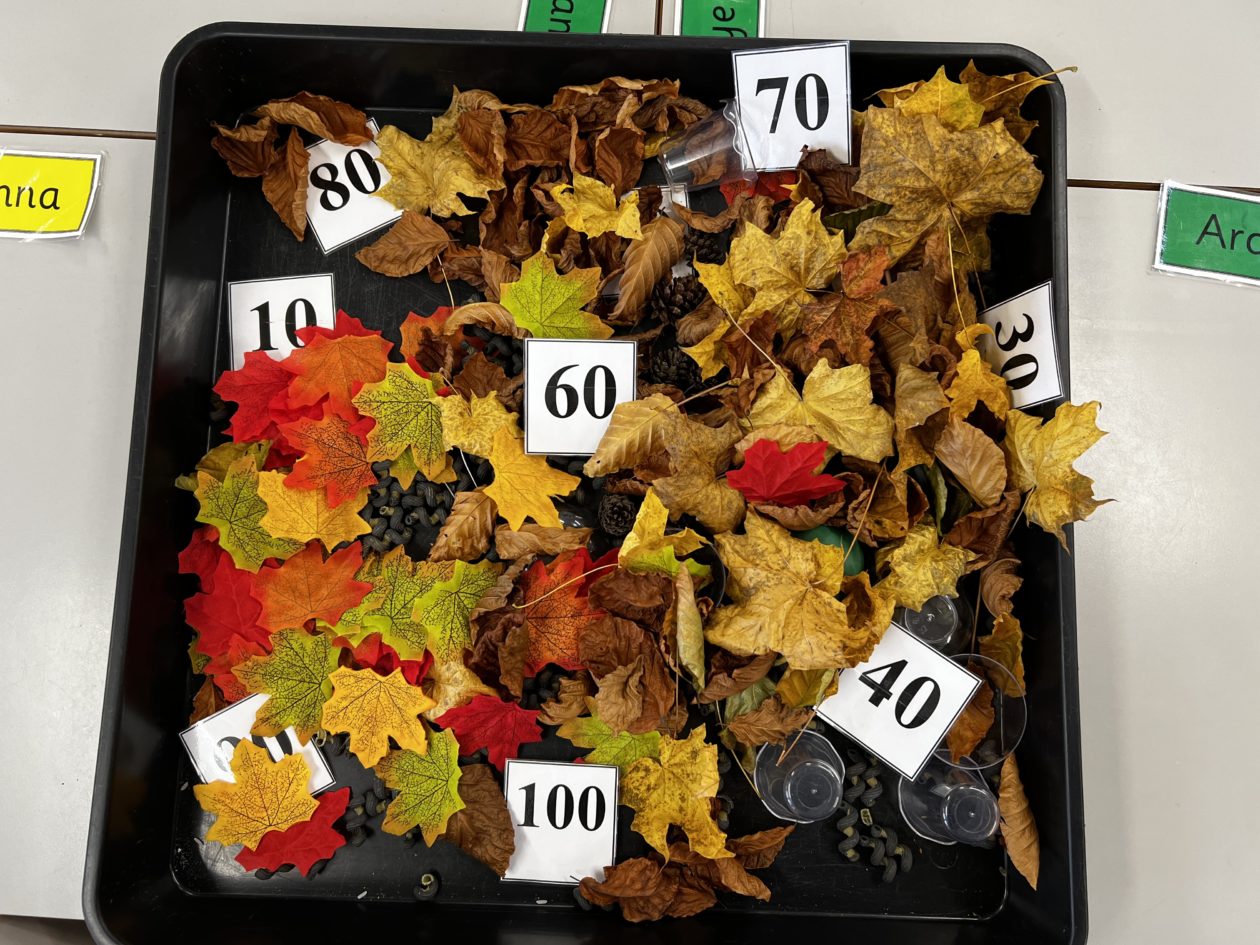 Place Value and Counting in 10s!