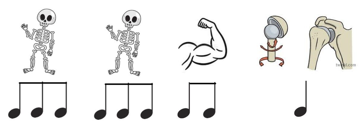 Human Body Rhythms