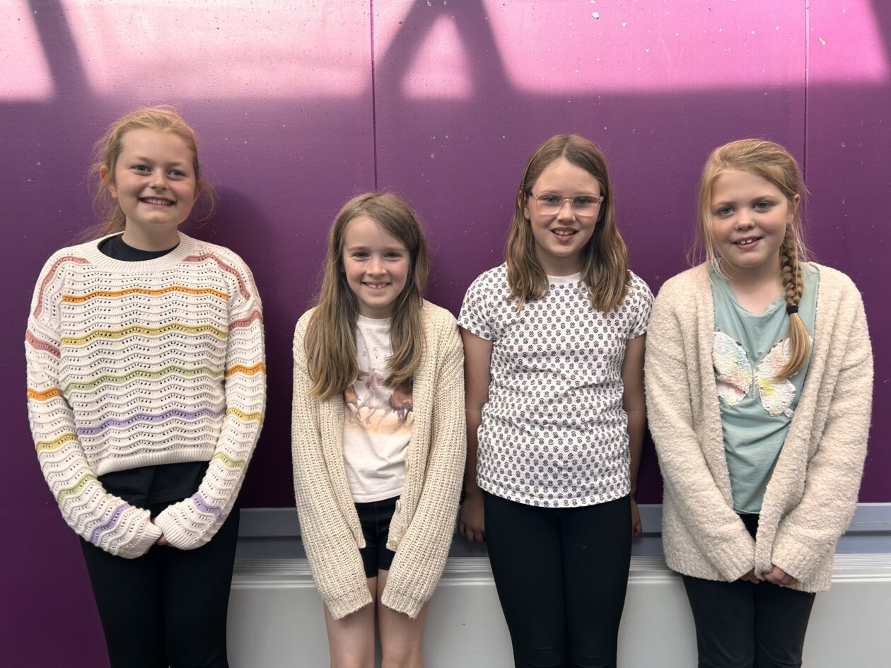 Pupil Voice