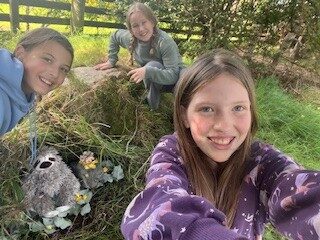 Den Making in the Wildlife Garden