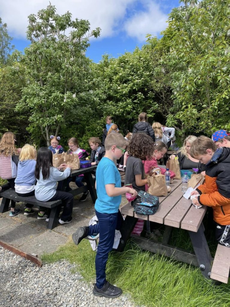 Scalloway Primary School Primary 4 Class Blog | Just another blogs ...