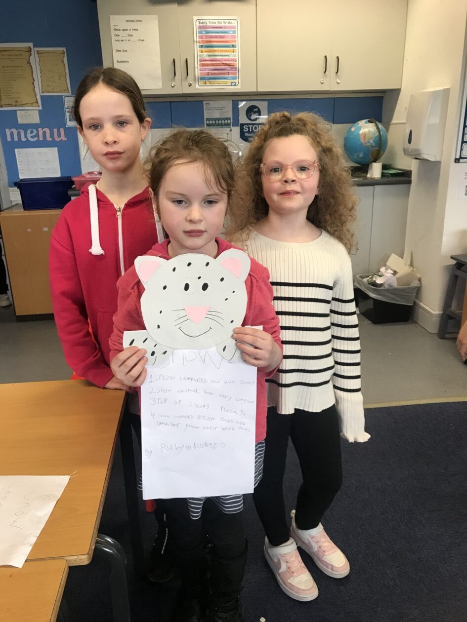 Working with Primary 2 | Scalloway Primary School Primary 4 Class Blog