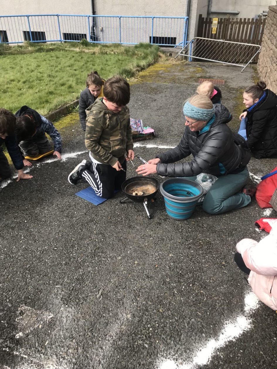 Scalloway Primary School Primary 4 Class Blog | Just another blogs ...