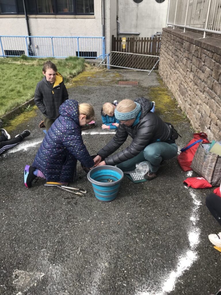 Outdoor Learning | Scalloway Primary School Primary 4 Class Blog