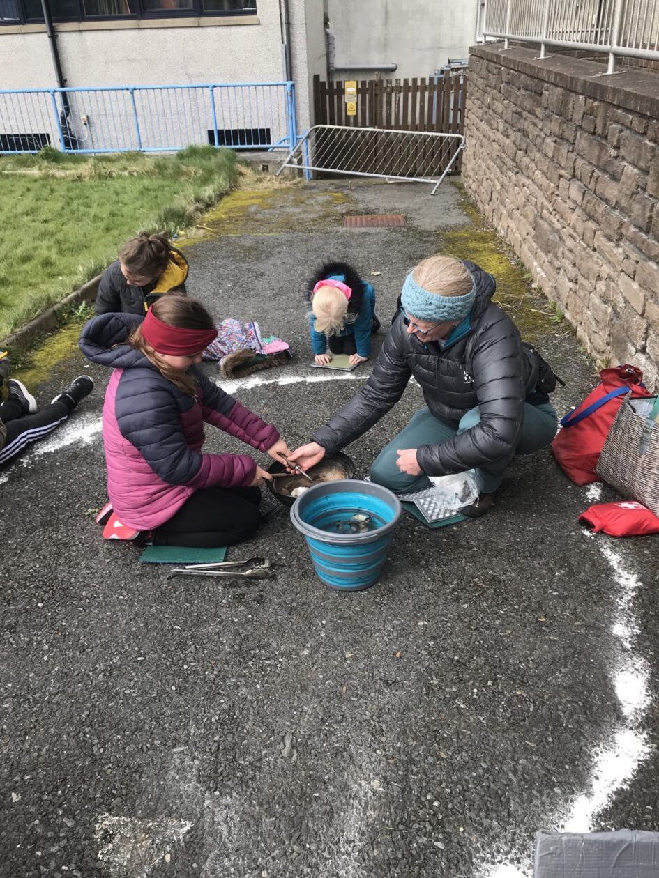 Scalloway Primary School Primary 4 Class Blog | Just another blogs ...