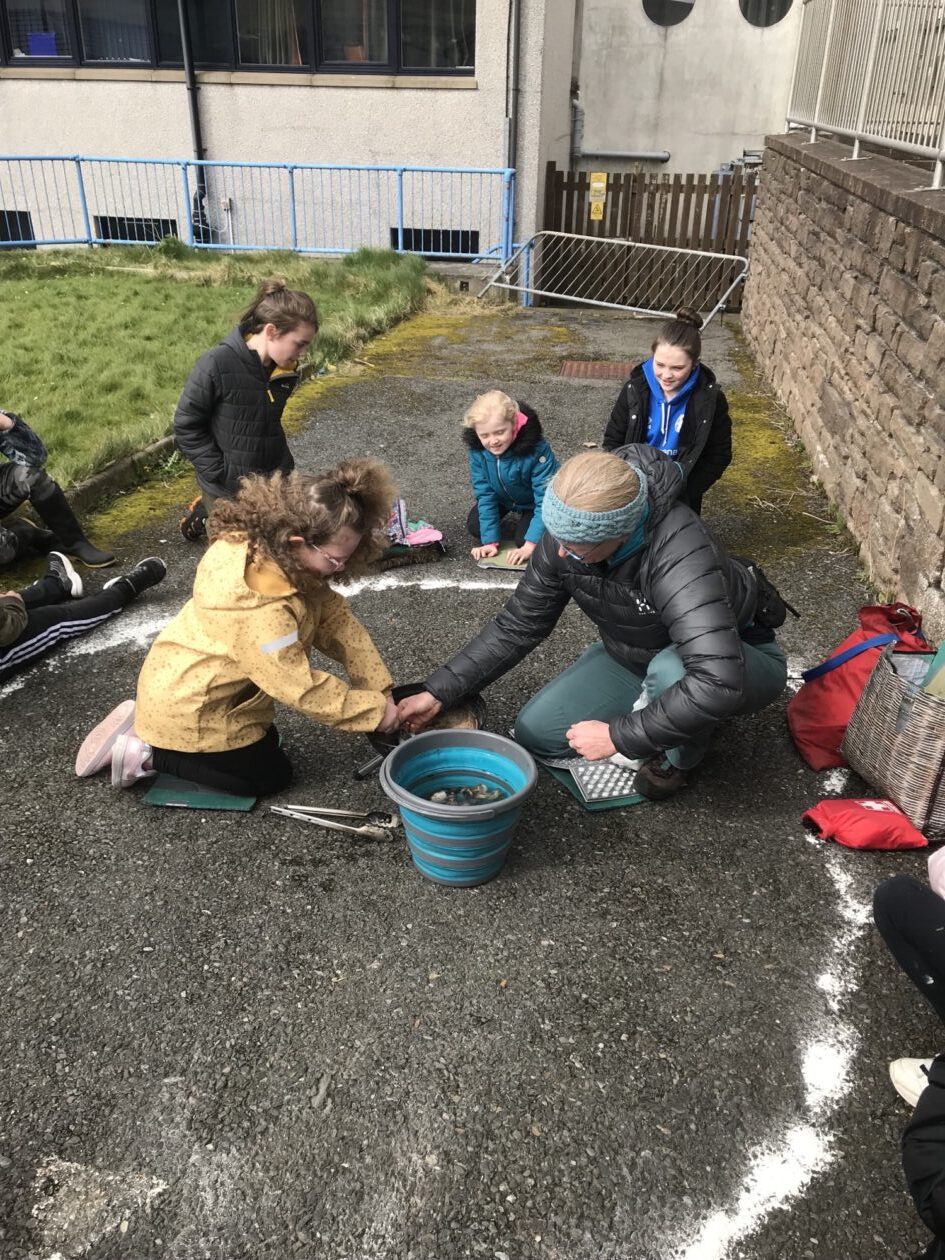 Scalloway Primary School Primary 4 Class Blog | Just another blogs ...