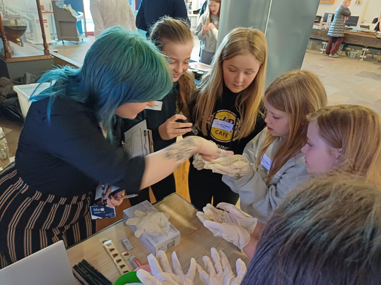 Celebration of STEM | Scalloway Primary School Primary 6 Class Blog