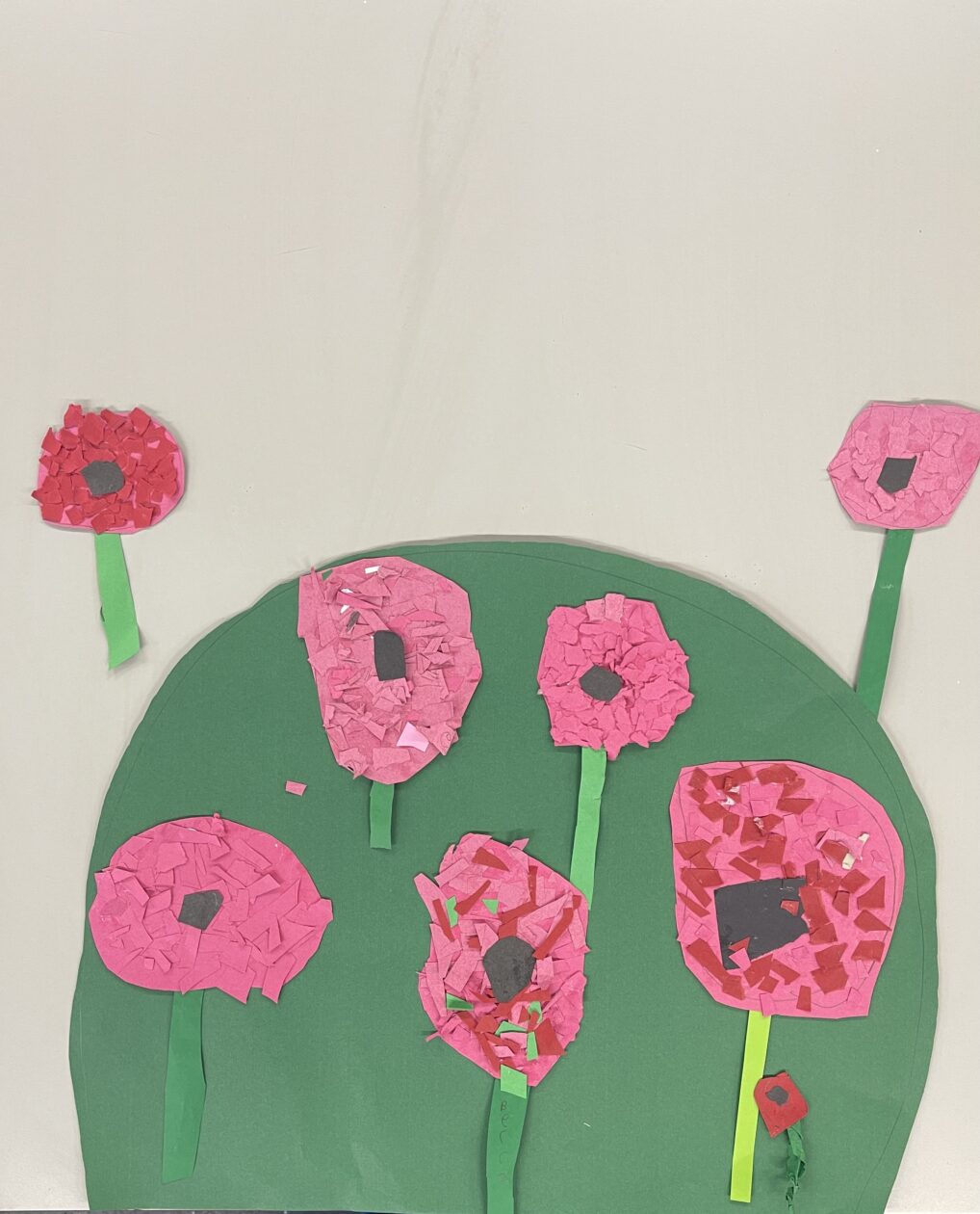 Remembrance Day Poppies | Sound P2B 2024 – 2025