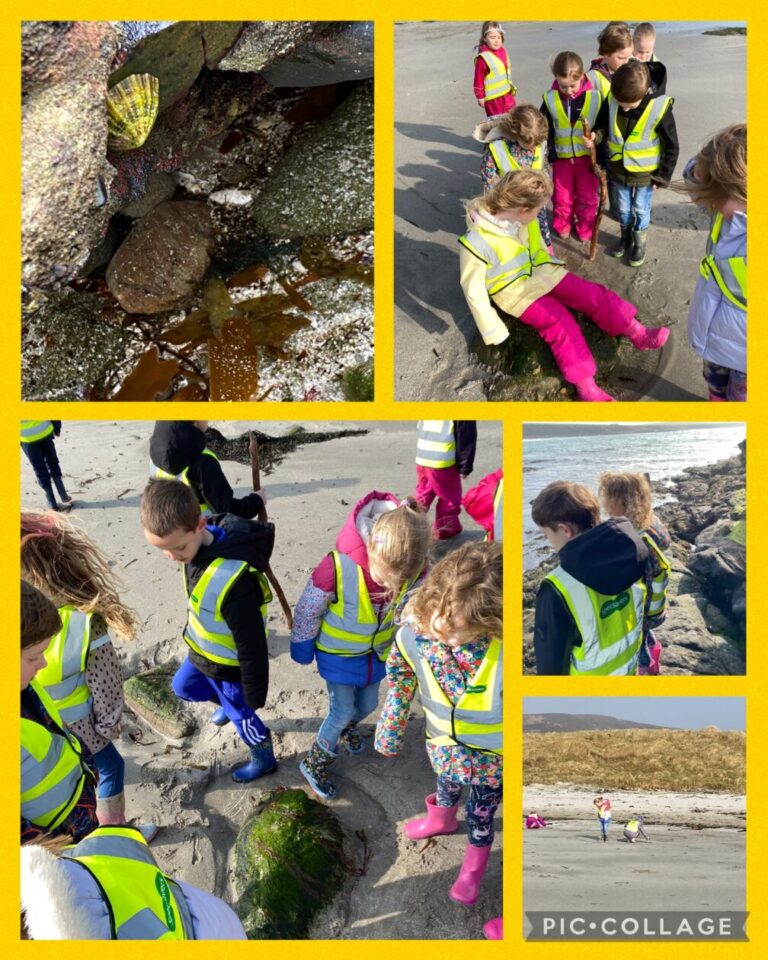 Sands of Sound ‘island’ | Sound School P1b 24-25