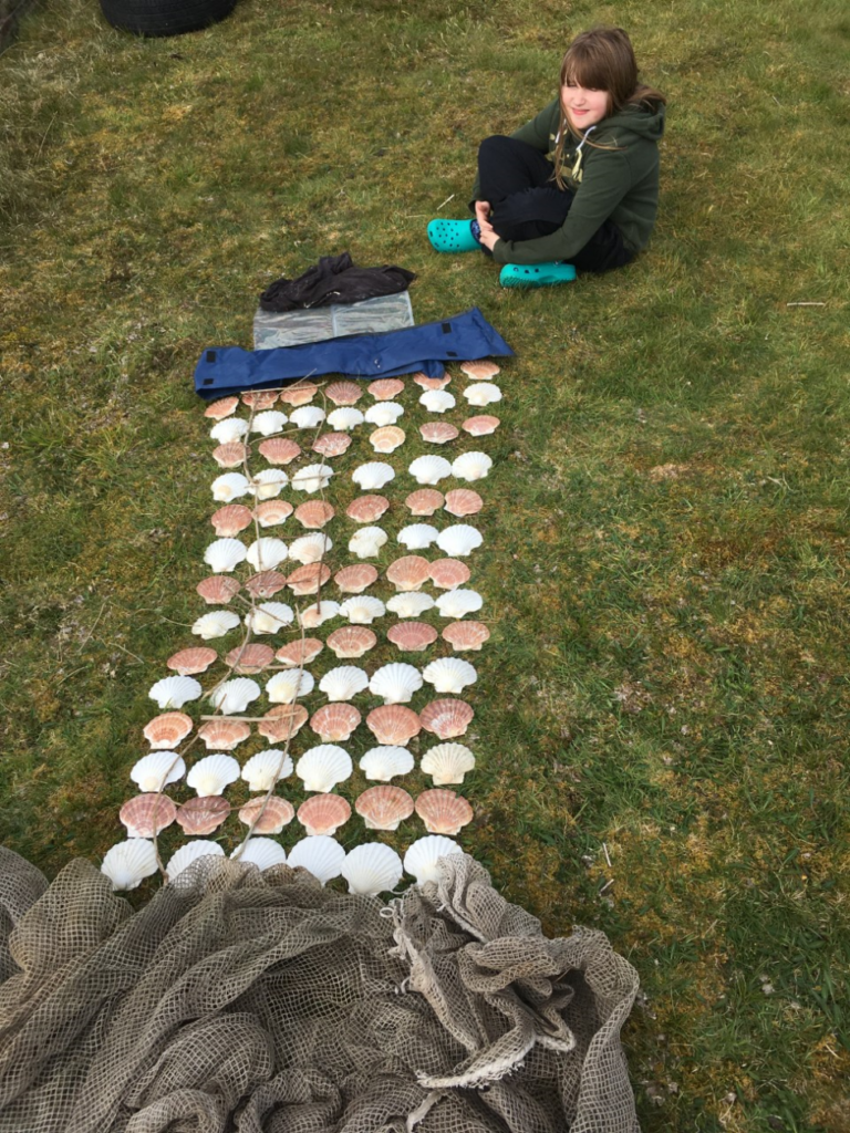 A very creative Lighthouse collage