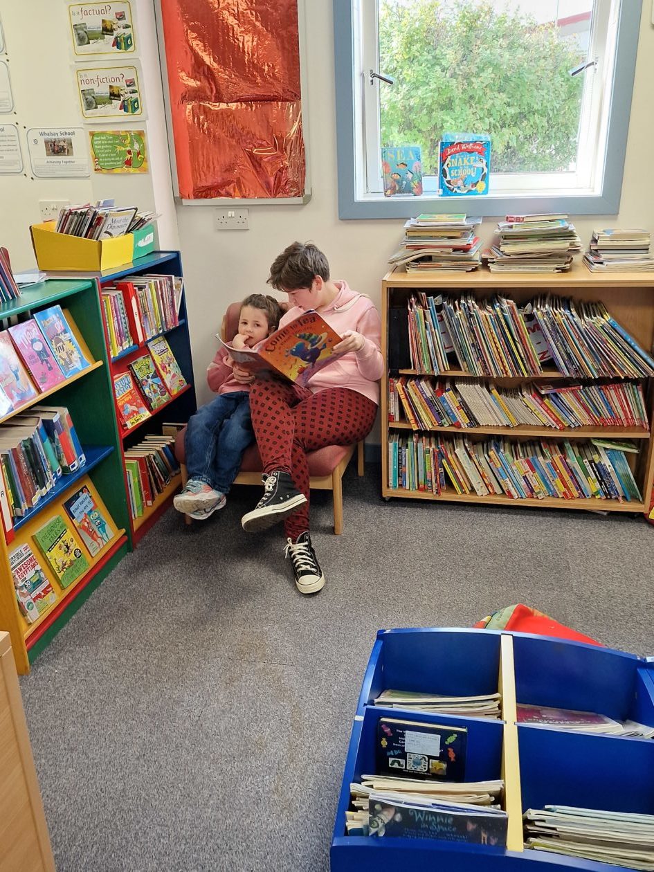 Secondary and Primary Paired Reading