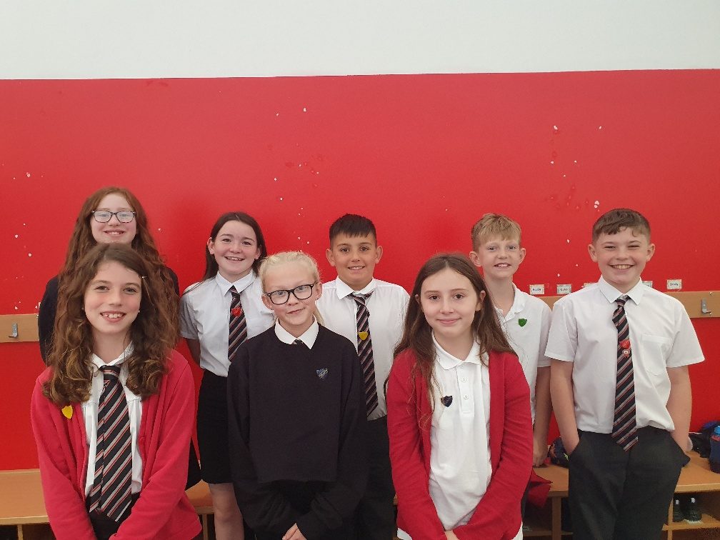 Houses – Braidwood Primary School