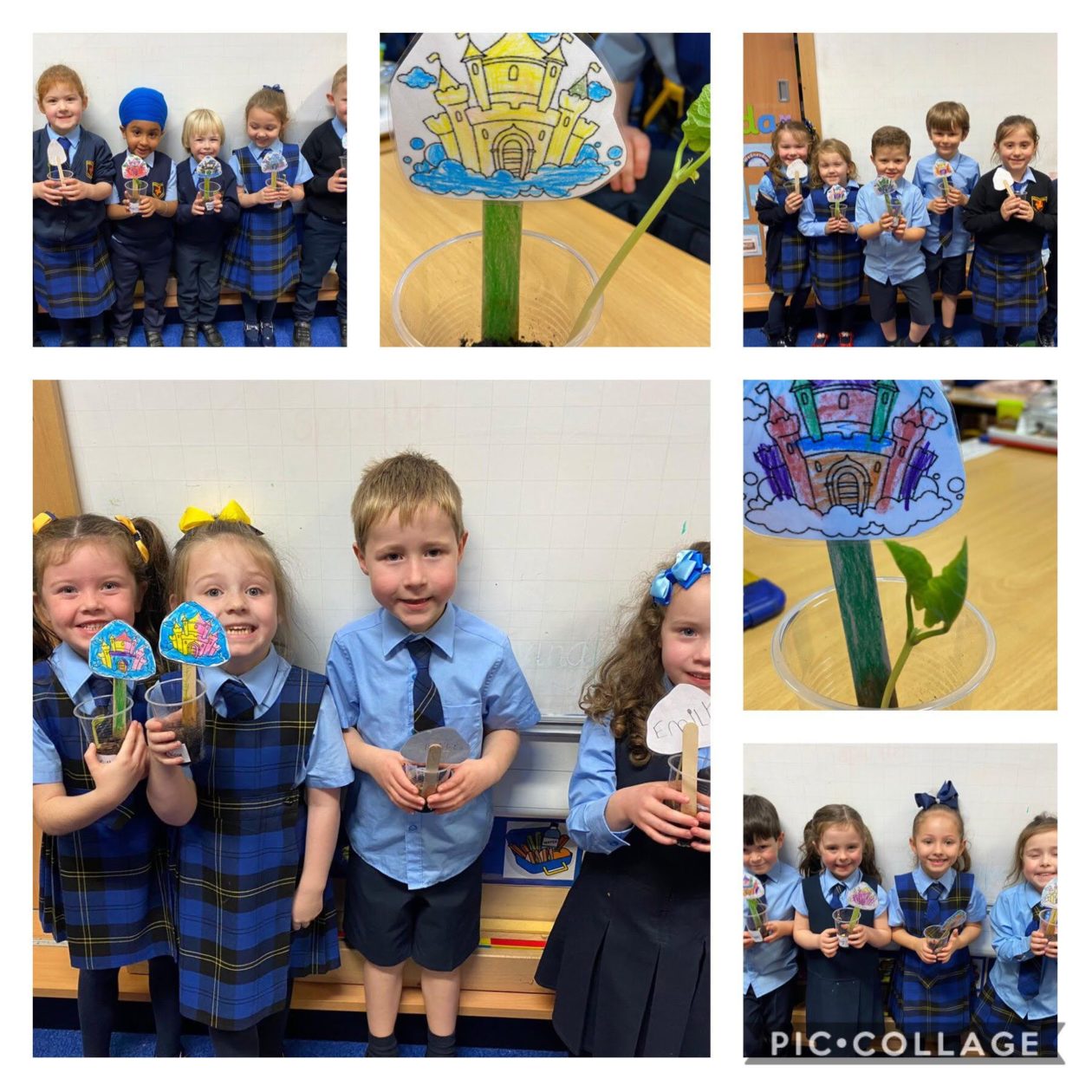 Photo Gallery – St. Bride's Bothwell, Primary School and Nursery Class