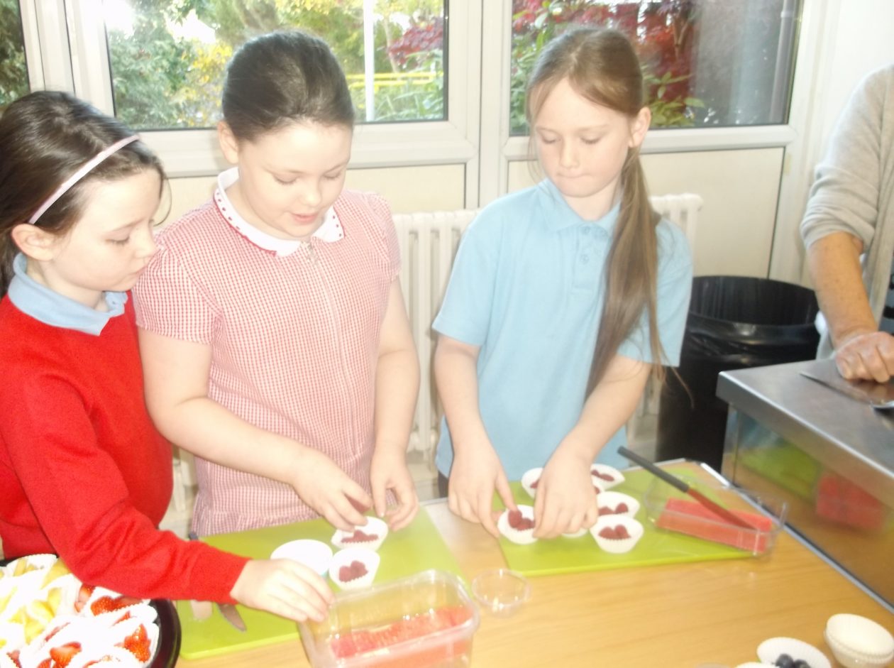 dscf2294 | Dunblane Primary School