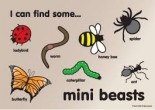 Minibeasts – Knightsridge Early Years Centre