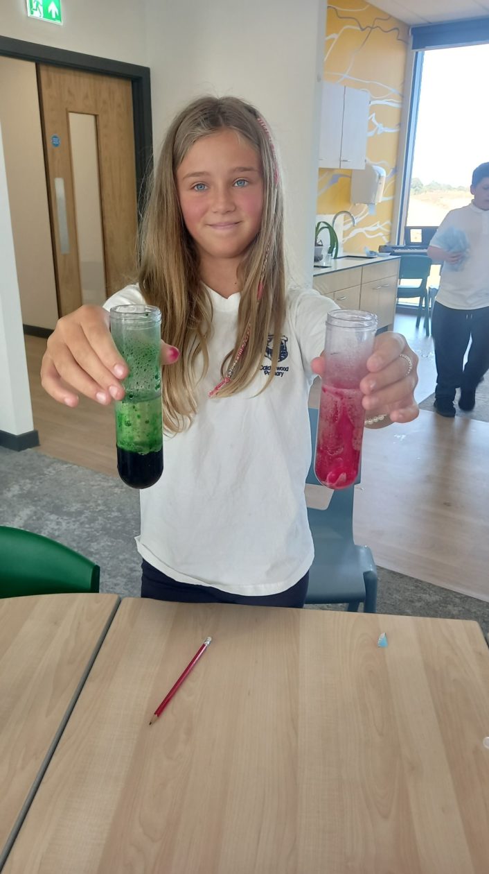 304871911_5685886634775104_7228570527881435706_n – Calderwood Primary ...