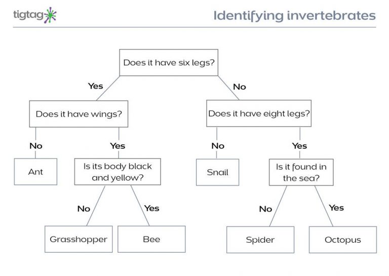 P4 Science – Deans Primary School Blog