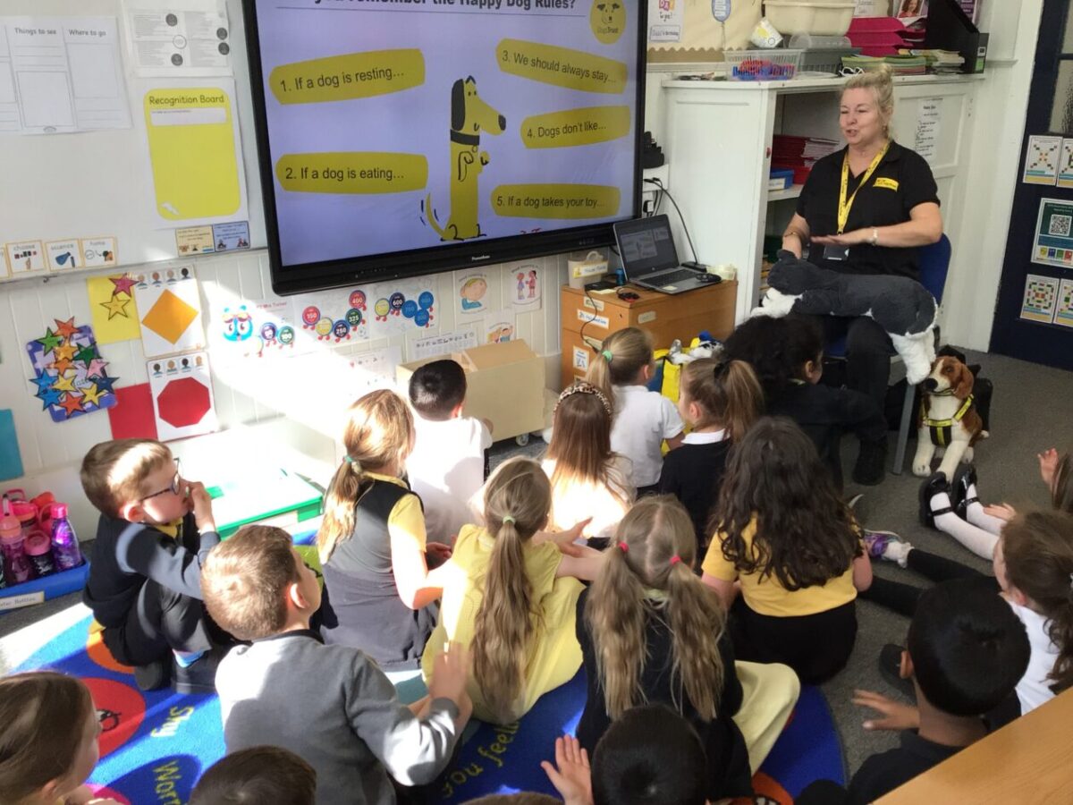 East Calder Primary School Blog