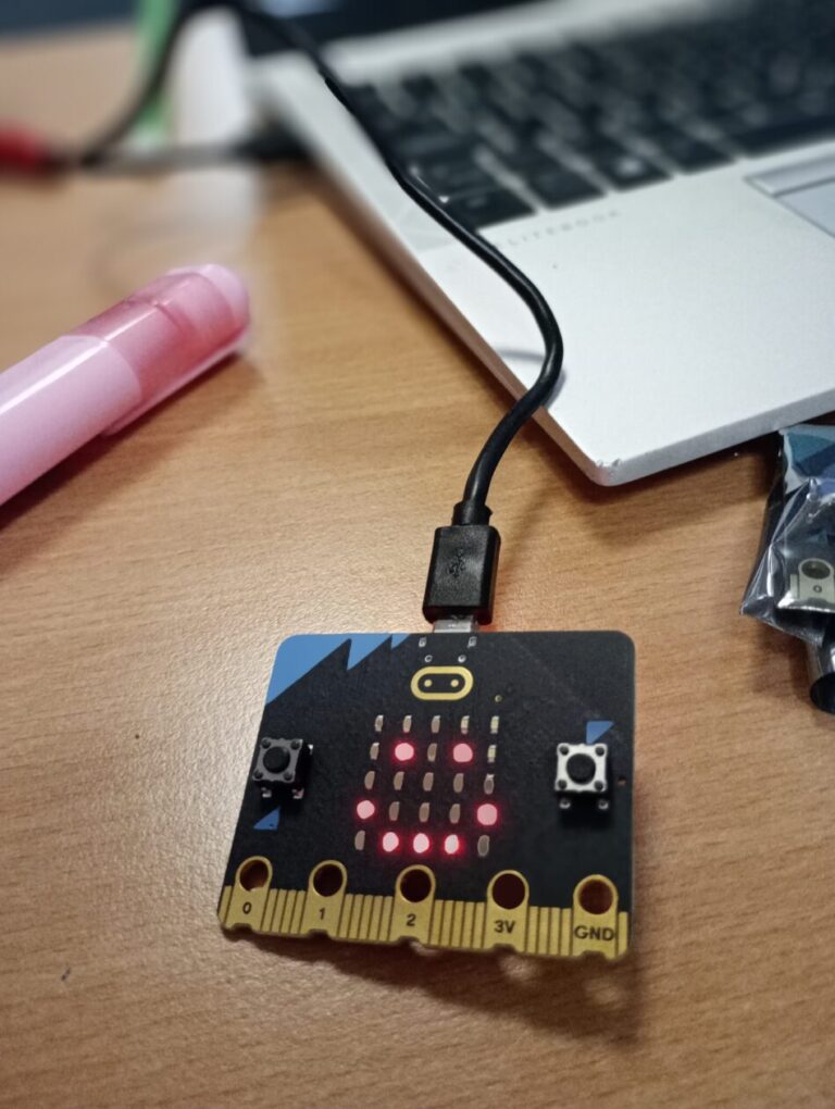 Coding – Microbits – Example Profile