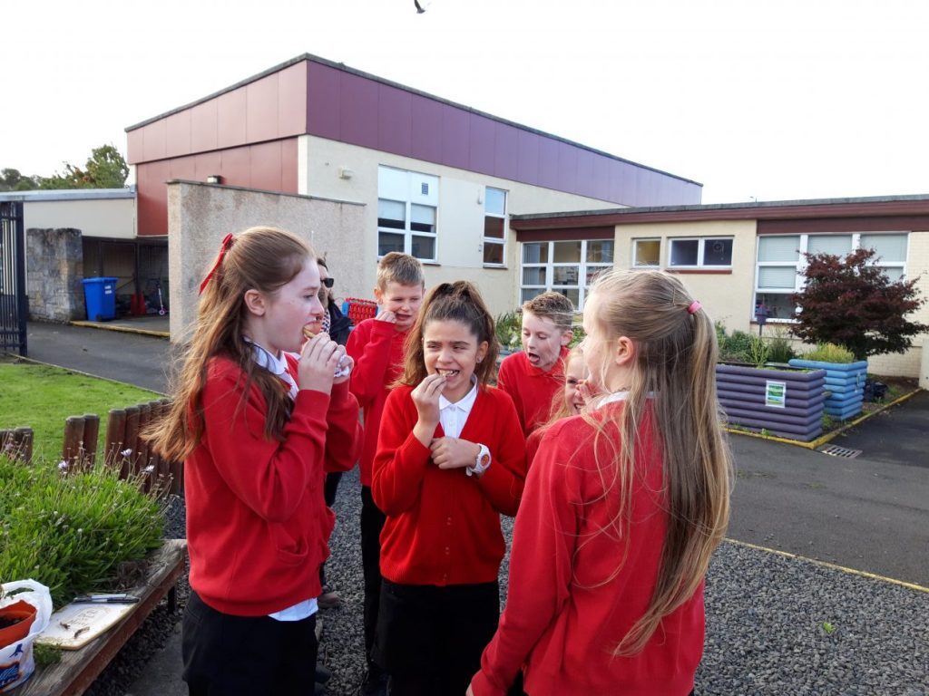 20180921_105953 | St. Joseph's Primary Linlithgow School Blog