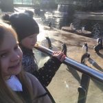 Fantastic Zoo Trip for P3 and P5 today look…….. | Our Lady of Lourdes PS