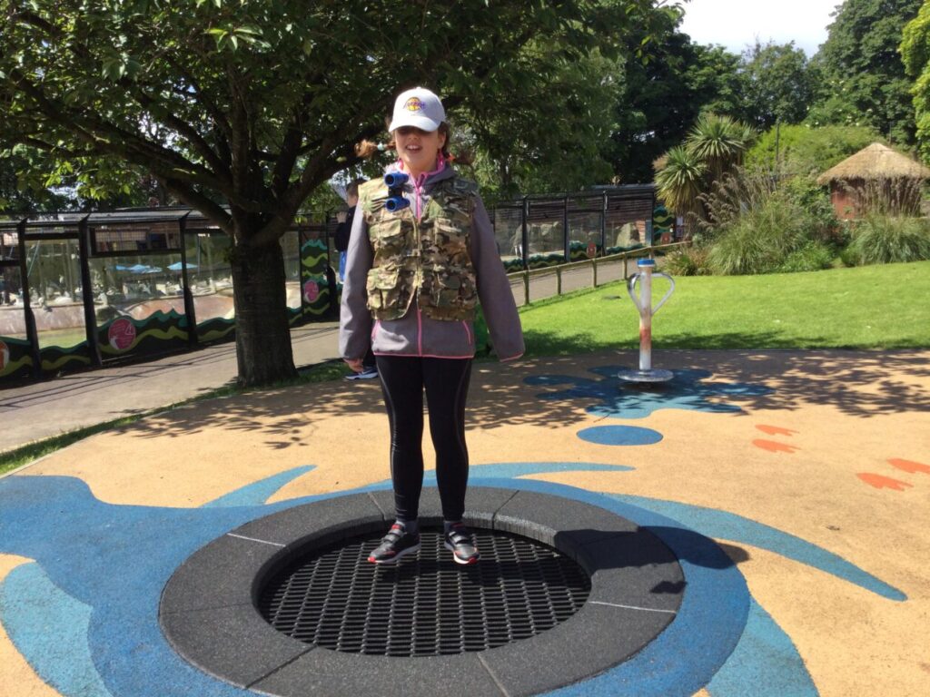 Yellow Class 2023 / 2024 | Pinewood School – Welcome to Our Blog