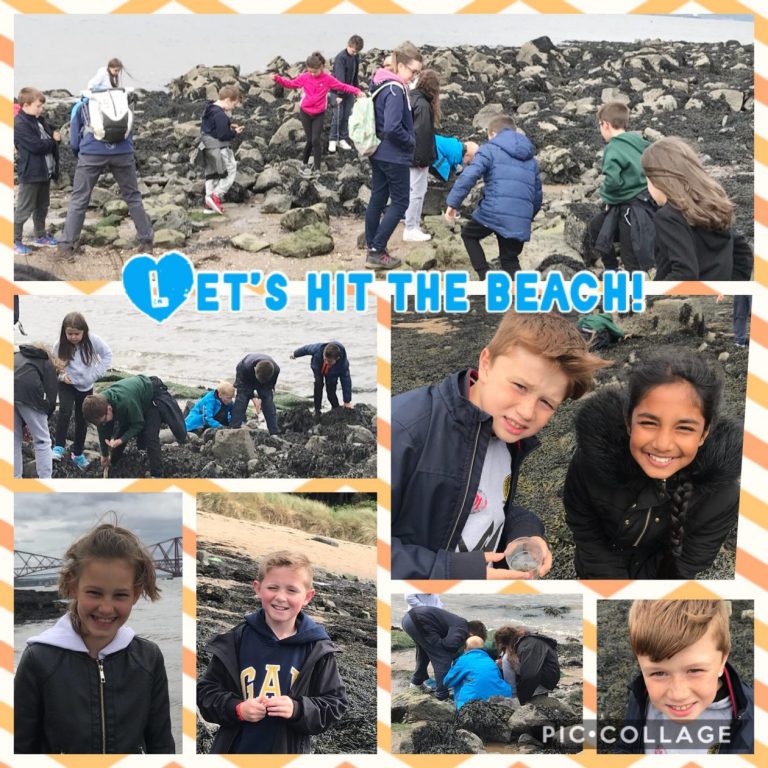 Dalmeny Beach | Toronto Primary School