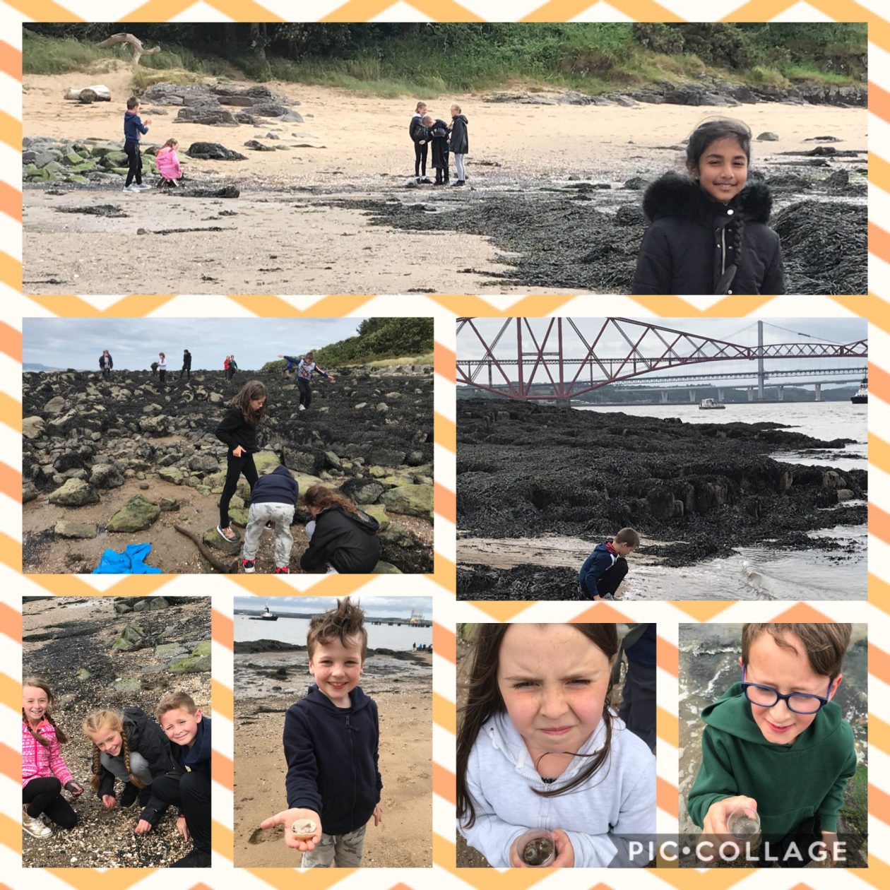 Dalmeny Beach | Toronto Primary School